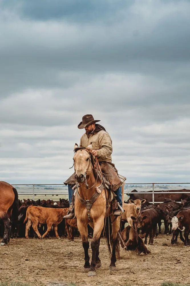 The REAL Yellowstone