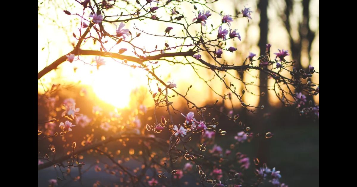 Letting the Light In