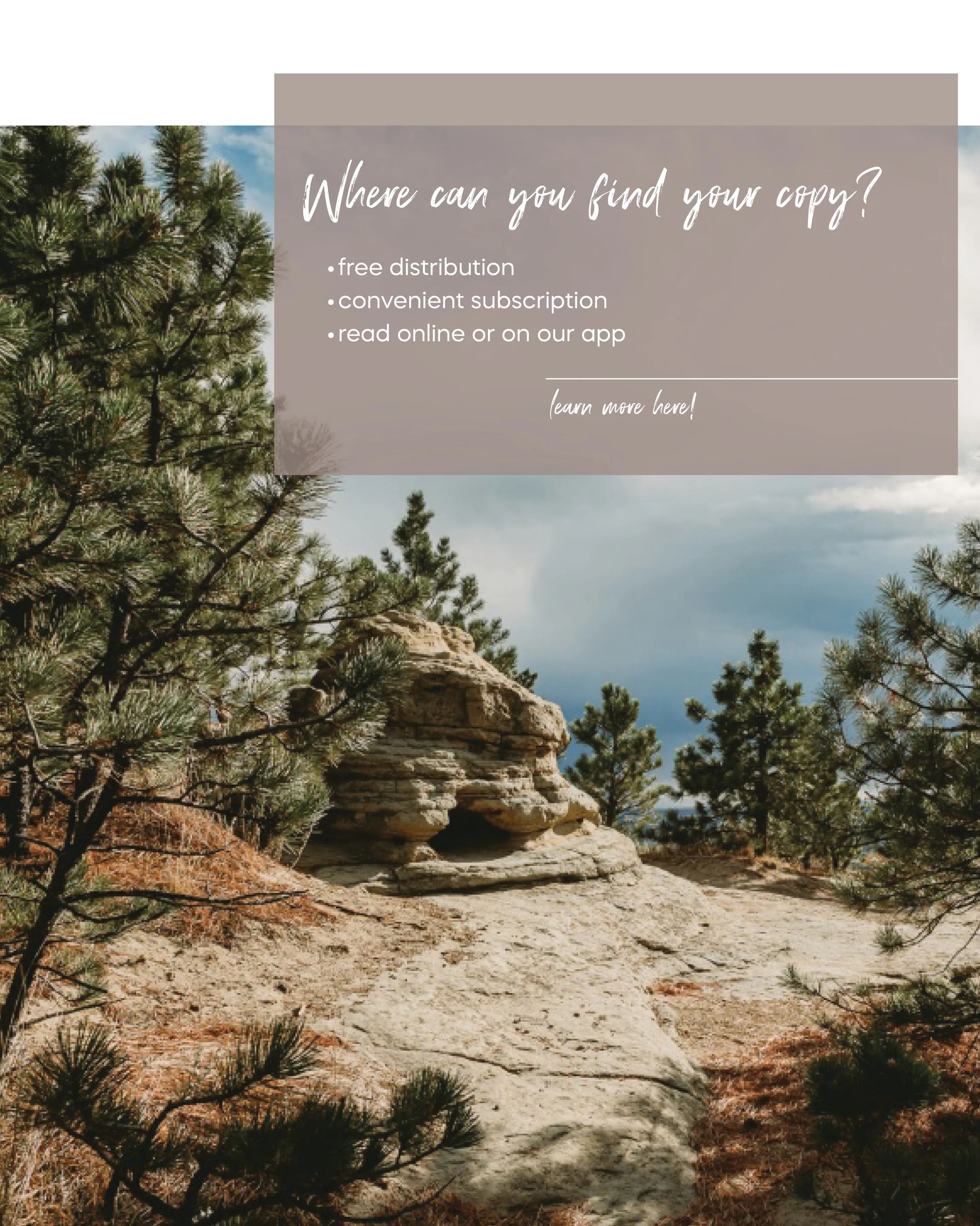 Simply Local Magazine