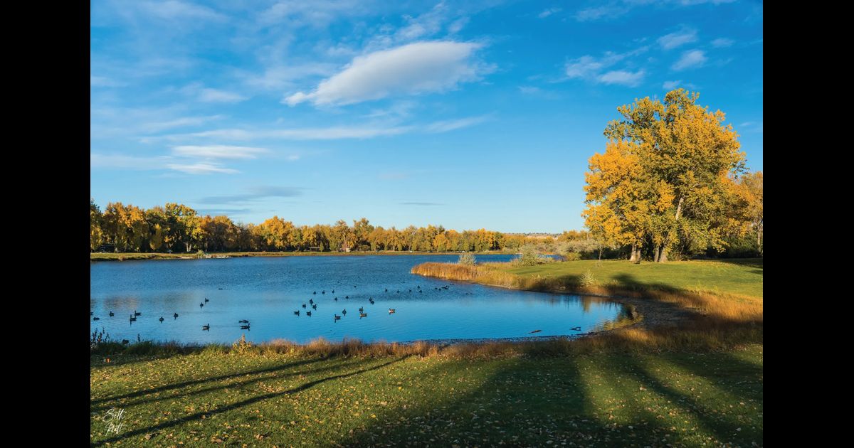 Parks, People, & Passion