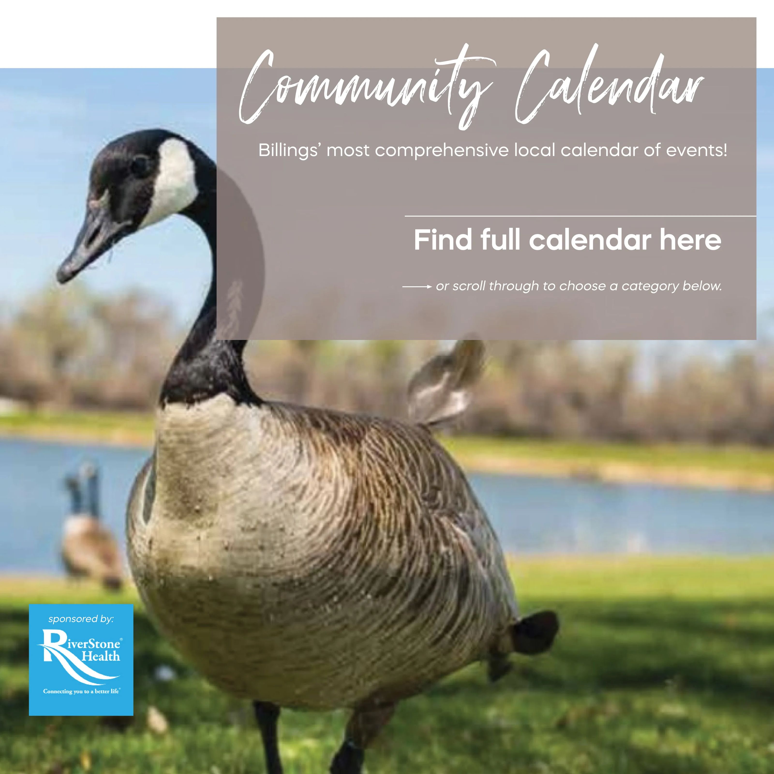 Simply Local Magazine