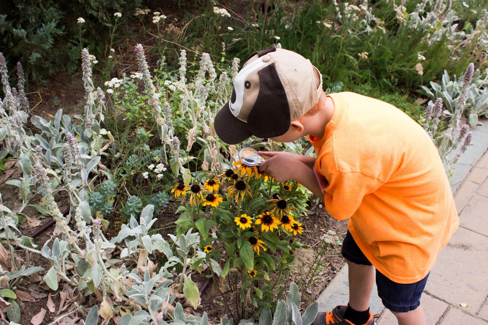 ZooMontana Now a Certified Autism Center™