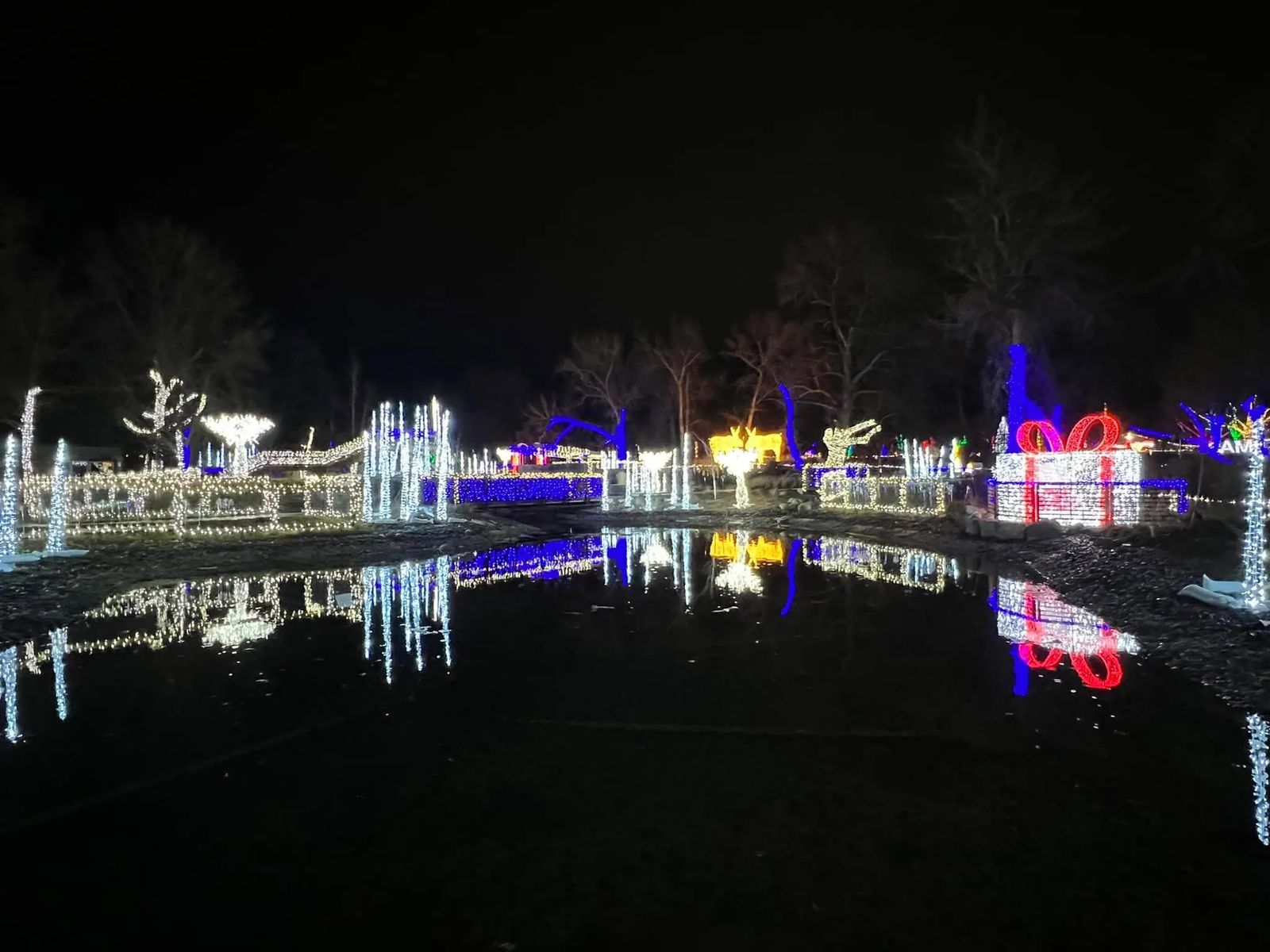 Holiday Nights at ZooMontana Ranks #4 on USA Today's 2023 List of 10 ...